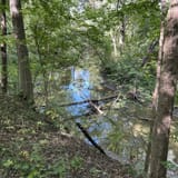 Paul Ruster Trail, Indiana - 235 Reviews, Map | AllTrails