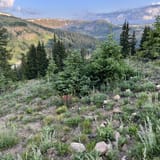 Mount Flora Trail, Colorado - 4,335 Reviews, Map | AllTrails
