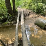 Crahen Valley Park Loop, Michigan - 1,805 Reviews, Map | AllTrails