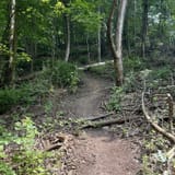 Crahen Valley Park Loop, Michigan - 1,805 Reviews, Map | AllTrails