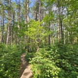 Lost '40' Trail, Minnesota - 182 Reviews, Map | AllTrails
