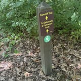 Ferncliff Trail, Pennsylvania - 1,514 Reviews, Map | AllTrails