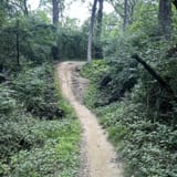 Palos Orange Trail, Illinois - 1,487 Reviews, Map | AllTrails
