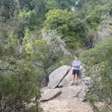 Gorman Falls Trail, Texas - 1,164 Reviews, Map | AllTrails