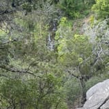 Gorman Falls Trail, Texas - 1,164 Reviews, Map | AllTrails