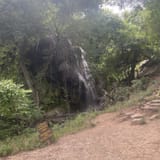 Gorman Falls Trail, Texas - 1,164 Reviews, Map | AllTrails