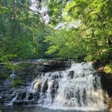 Rutledge Falls Trail, Tennessee - 666 Reviews, Map | AllTrails