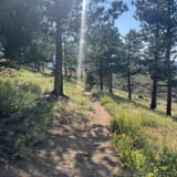 Walker Ranch Loop, Colorado - 5,082 Reviews, Map | AllTrails