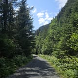 Tonsina Creek Trail, Alaska - 1,693 Reviews, Map | AllTrails