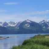 Tonsina Creek Trail, Alaska - 1,694 Reviews, Map | AllTrails