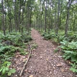 Mon Jing Loop, Chiang Mai, Thailand - 289 Reviews, Map | AllTrails