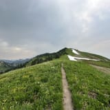 Tatoosh Ridge Trail, Washington - 443 Reviews, Map | AllTrails