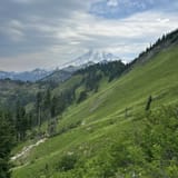 Tatoosh Ridge Trail, Washington - 443 Reviews, Map | AllTrails