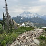 Tatoosh Ridge Trail, Washington - 443 Reviews, Map | AllTrails