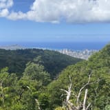 Pauoa Flats via Kalawahine Trail, Oahu, Hawaii - 1,211 Reviews, Map ...