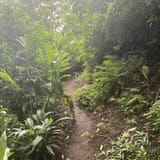 Pauoa Flats via Kalawahine Trail, Oahu, Hawaii - 1,211 Reviews, Map ...