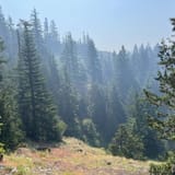 Cone Peak Trail, Oregon - 804 Reviews, Map | AllTrails