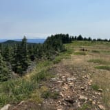 Mount Hebo, Oregon - 174 Reviews, Map | AllTrails