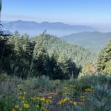 Cone Peak Trail, Oregon - 804 Reviews, Map | AllTrails