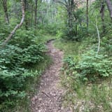 Maple Canyon Loop Trail , Utah - 197 Reviews, Map | AllTrails