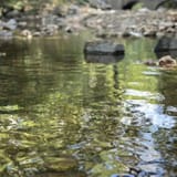 Unity Village Nature Trail, Missouri - 1,648 Reviews, Map | AllTrails