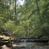 Unity Village Nature Trail, Missouri - 1,648 Reviews, Map | AllTrails