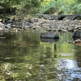 Unity Village Nature Trail, Missouri - 1,648 Reviews, Map | AllTrails