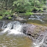 Hackers Falls and Cliff Trail Loop, Pennsylvania - 2,160 Reviews, Map ...