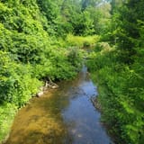 Heber Down Conservation Area Trail, Ontario, Canada - 633 Reviews, Map ...