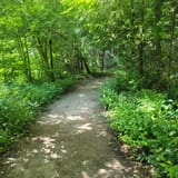 Heber Down Conservation Area Trail, Ontario, Canada - 633 Reviews, Map ...