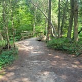 Heber Down Conservation Area Trail, Ontario, Canada - 633 Reviews, Map ...