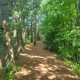Heber Down Conservation Area Trail, Ontario, Canada - 633 Reviews, Map ...