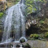 Little Mashel Falls Trail via Bud Blancher Trail, Washington - 4,135 ...