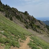 Mount Ellinor Trail, Washington - 2,835 Reviews, Map | AllTrails