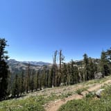 Mount Judah Loop Trail, California - 2,523 Reviews, Map | AllTrails