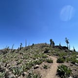 Mount Judah Loop Trail, California - 2,523 Reviews, Map | AllTrails