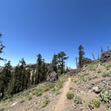 Mount Judah Loop Trail, California - 2,523 Reviews, Map | AllTrails