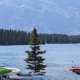 Two Jack Lake Trail, Alberta, Canada - 674 Reviews, Map | AllTrails