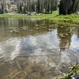 Ruth Lake Trail, Utah - 495 Reviews, Map | AllTrails