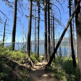 Oneonta Trail, Oregon - 724 Reviews, Map | AllTrails