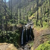 Oneonta Trail, Oregon - 724 Reviews, Map | AllTrails