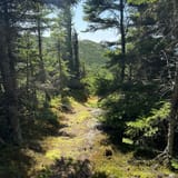 Little Jackson Mountain Trail, Maine - 306 Reviews, Map | AllTrails