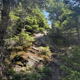 Little Jackson Mountain Trail, Maine - 306 Reviews, Map | AllTrails