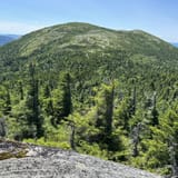 Little Jackson Mountain Trail, Maine - 306 Reviews, Map | AllTrails