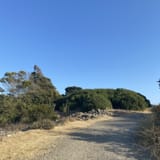 Albany Bulb, California - 393 Reviews, Map | AllTrails