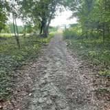 Matrimony Creek Nature Trail, North Carolina - 105 Reviews, Map | AllTrails