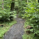Matrimony Creek Nature Trail, North Carolina - 105 Reviews, Map | AllTrails