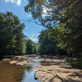 Meadow Run Trail, Pennsylvania - 1,275 Reviews, Map | AllTrails