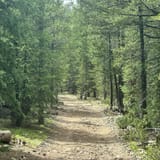 Georgia Pass 4x4 Trail, Colorado - 151 Reviews, Map | AllTrails