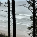 Cape Falcon Trail, Oregon - 4,185 Reviews, Map | AllTrails